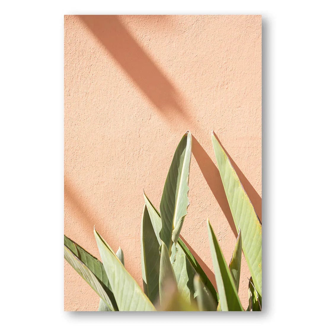 Botanical Pastels Mediterranean Art Print – Stone and Gray