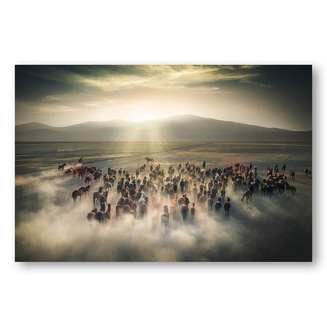 Sunset Gallop Photo Print – Stone and Gray