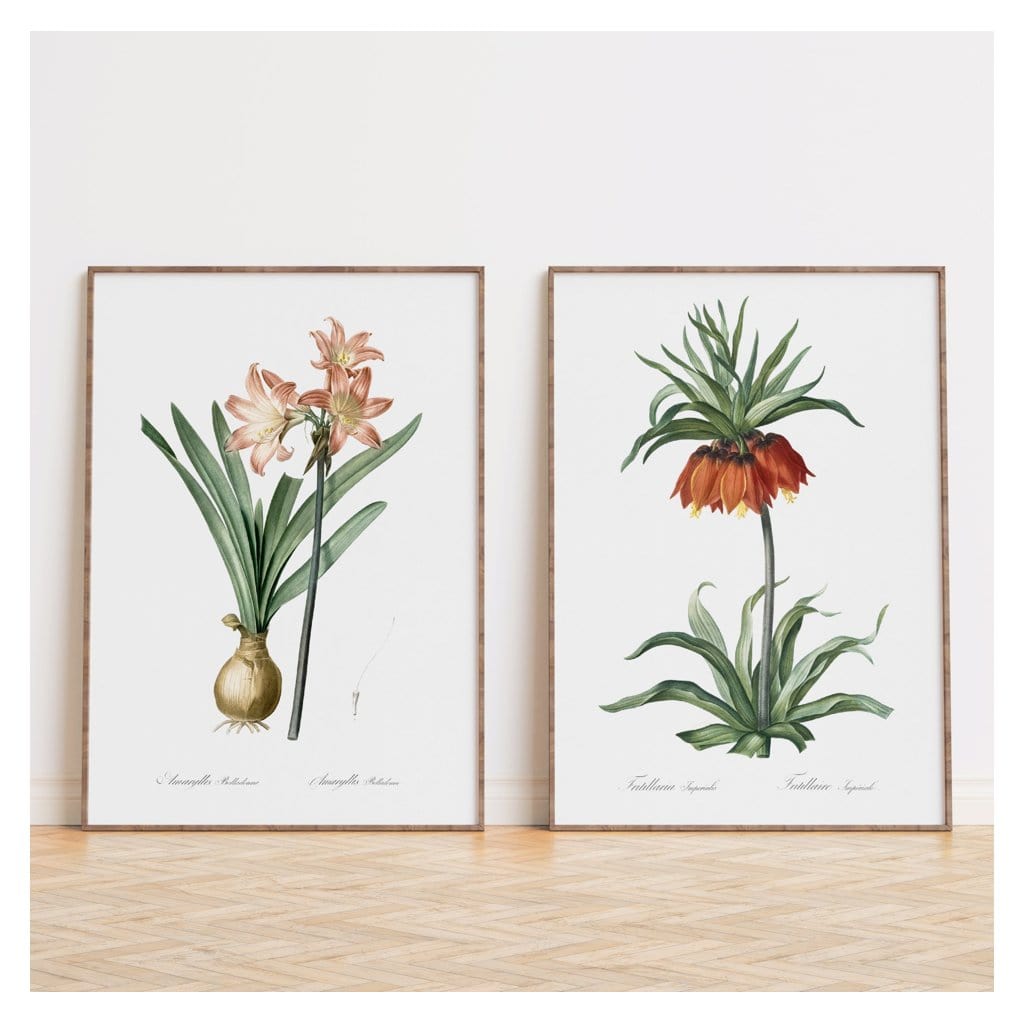 Pair of Coral & Burnt Orange Botanicals Wall Art Prints – Stone and Gray
