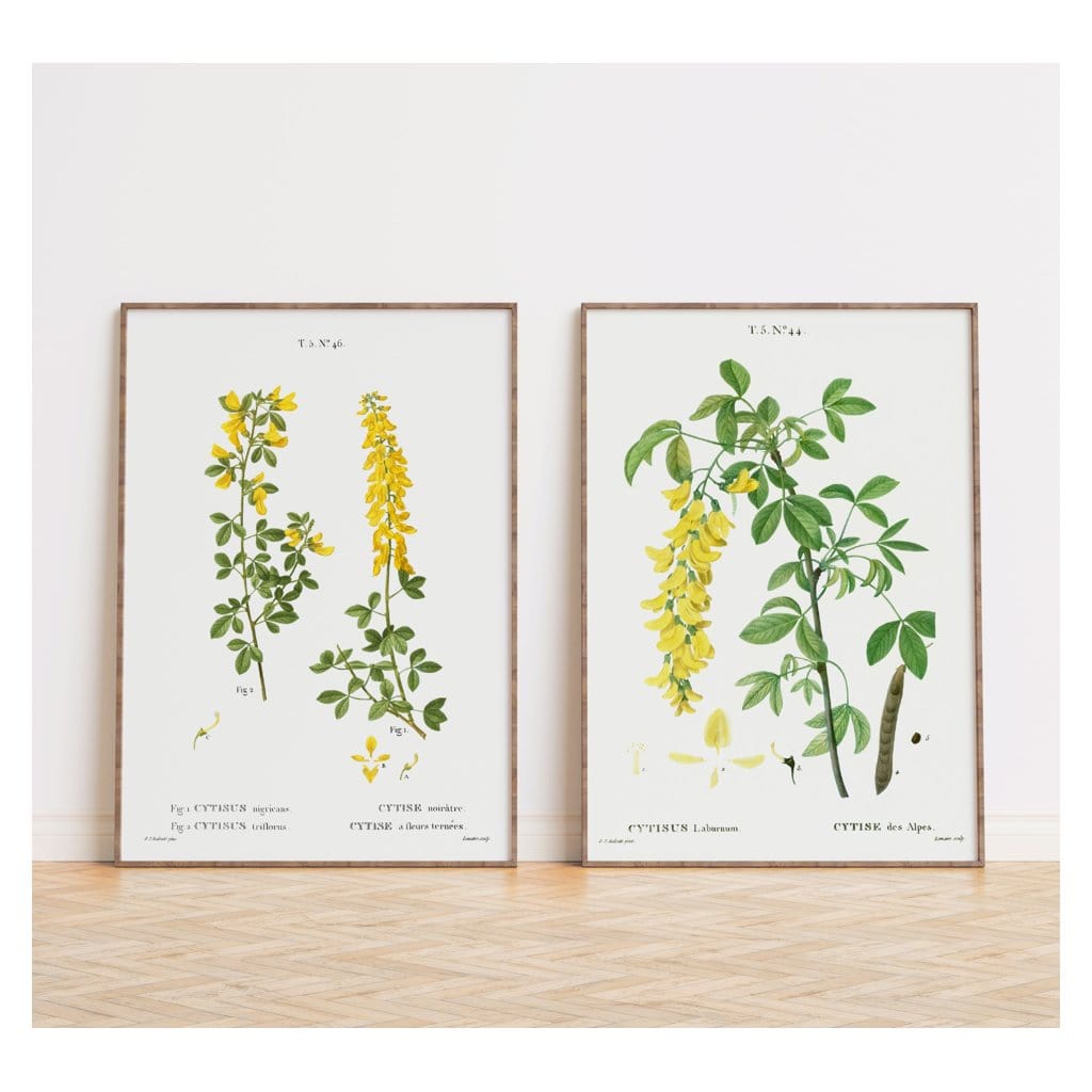 Pair of Yellow Botanical Art Prints 2 (Portrait) | Custom Sizes, Fine ...