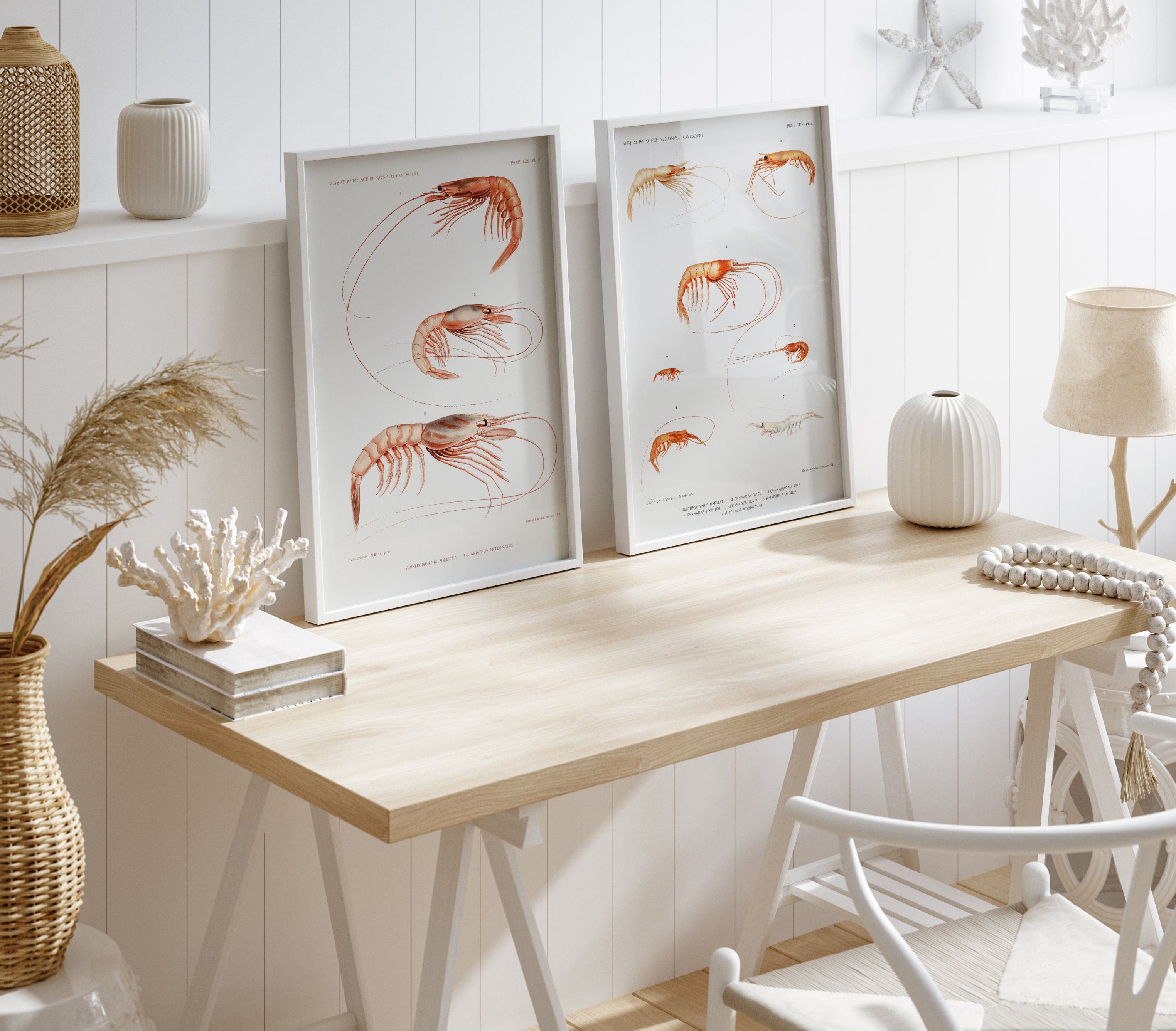 Marine Elegance Shrimp Art Prints (Set of 2) (Square) | Custom Sizes ...